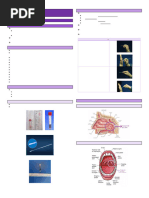 Throat Swab Collection Procedure Guide | PDF