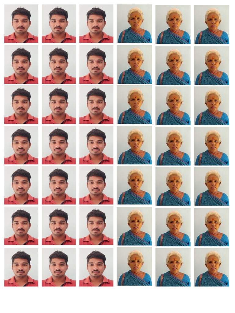 PP | PDF