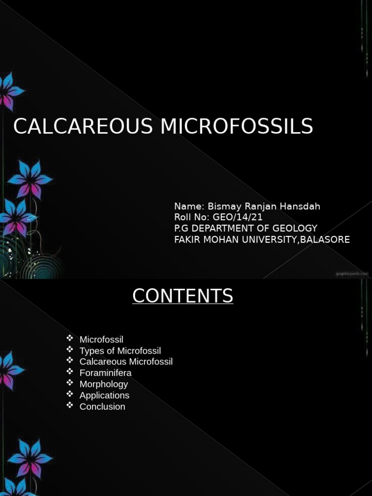 Calcareous Microfossil | PDF | Limestone