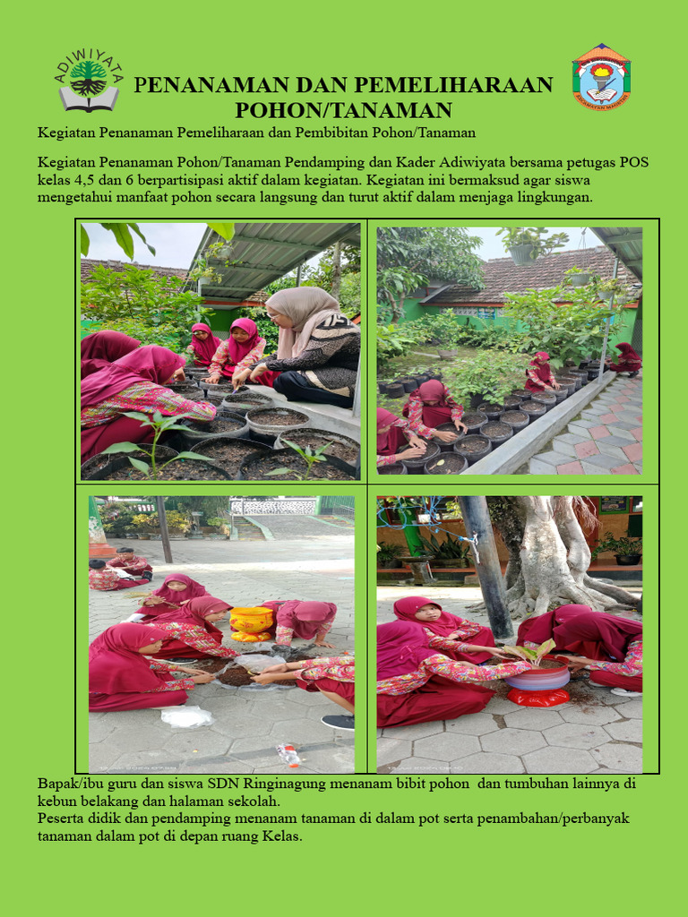 Penanaman Dan Pemeliharaan Pohon | PDF