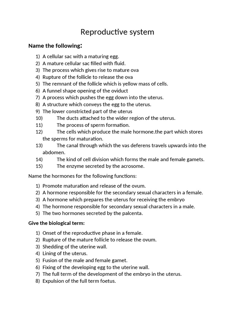 Reproductive System Overview and Terminology | PDF | Uterus ...