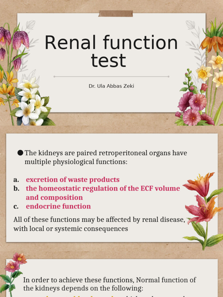 renal function | PDF | Kidney | Creatinine