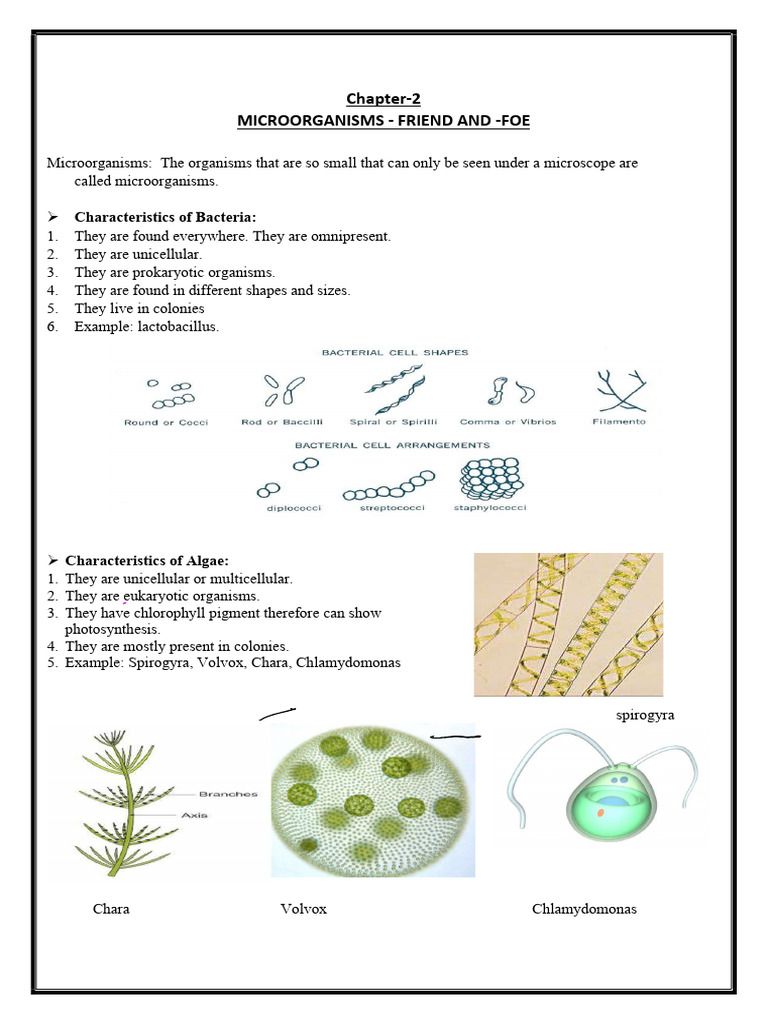 Microorganisms: Types and Characteristics | PDF | Microorganism | Cell ...