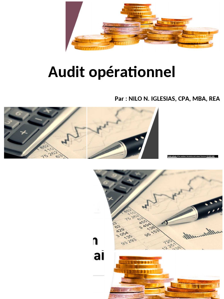 Module 1 Introduction À L'audit Opérationnel | PDF | Audit | Risque ...