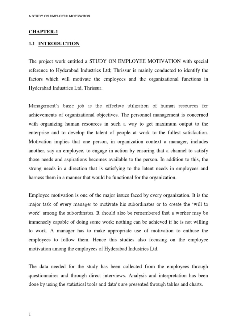 Employee Motivation Model Project | PDF | Asbestos | Motivation