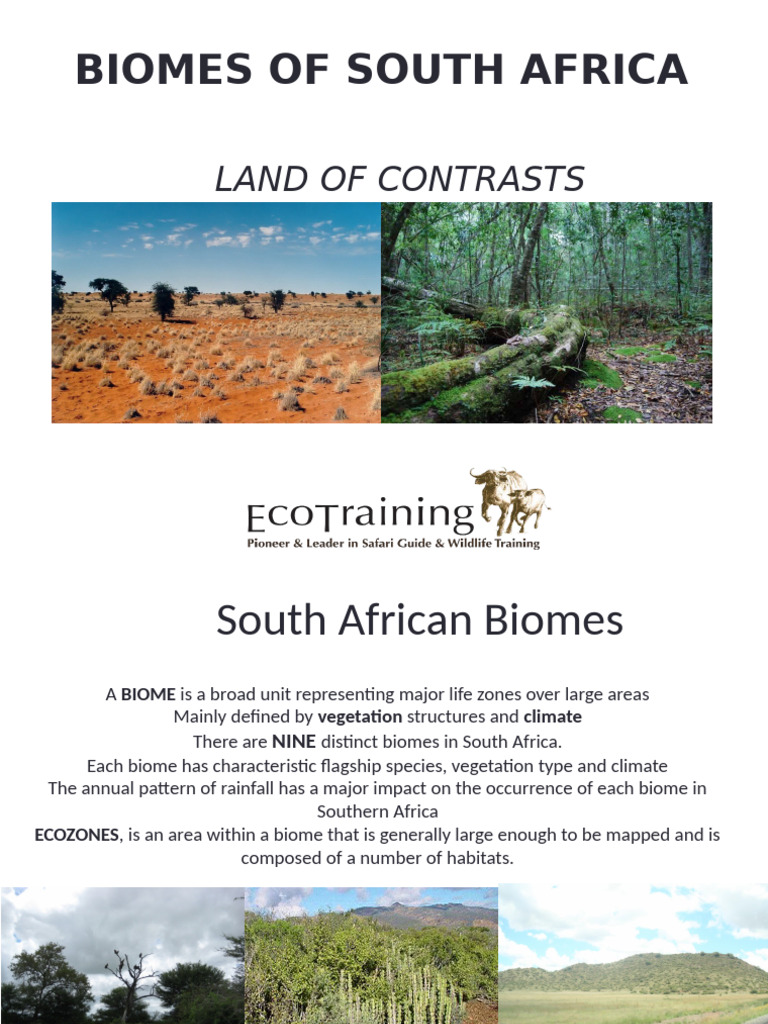 South African Biomes | PDF | Savanna | Rain