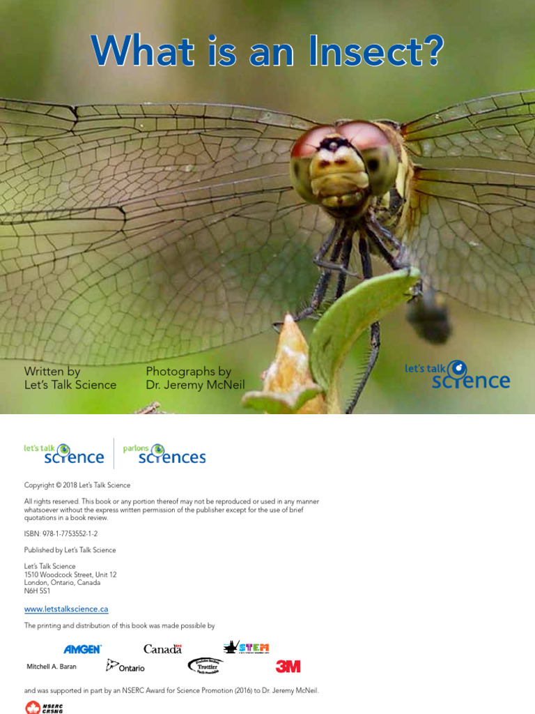 What Is An Insect Book Online Version | PDF | Insects | Insects And Humans