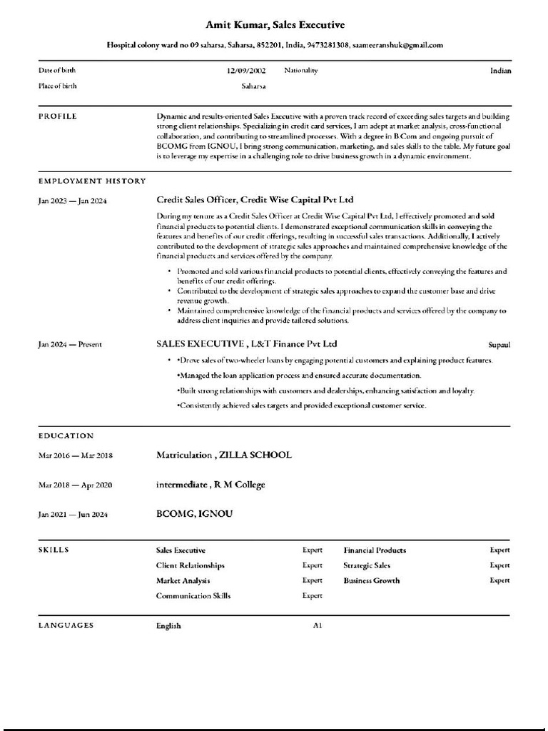 Resume Amit | PDF