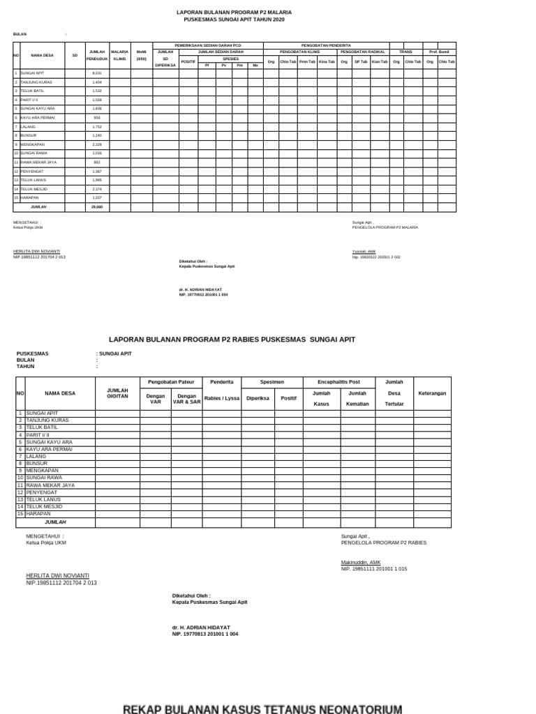 Form Lap Bulanan p2m | PDF