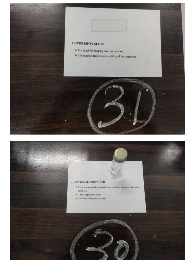 Micro spotters_231217_183004 | PDF