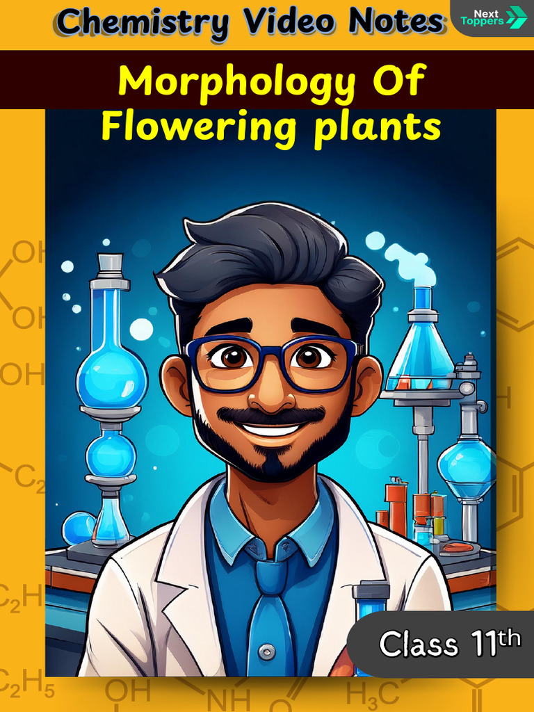 Morphology of Flowering Plants (1) | PDF | Leaf | Seed Morphology of Flowering Plants (1) | PDF | Leaf | Seed