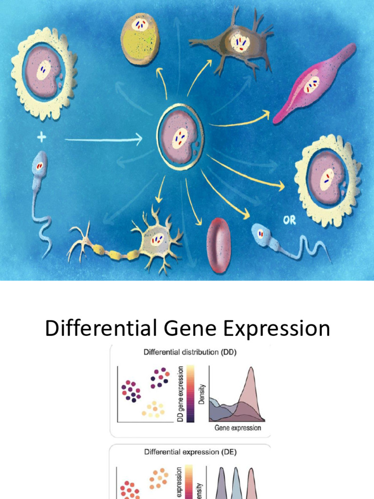 Differential Gene Expression | PDF | Messenger Rna | Gene