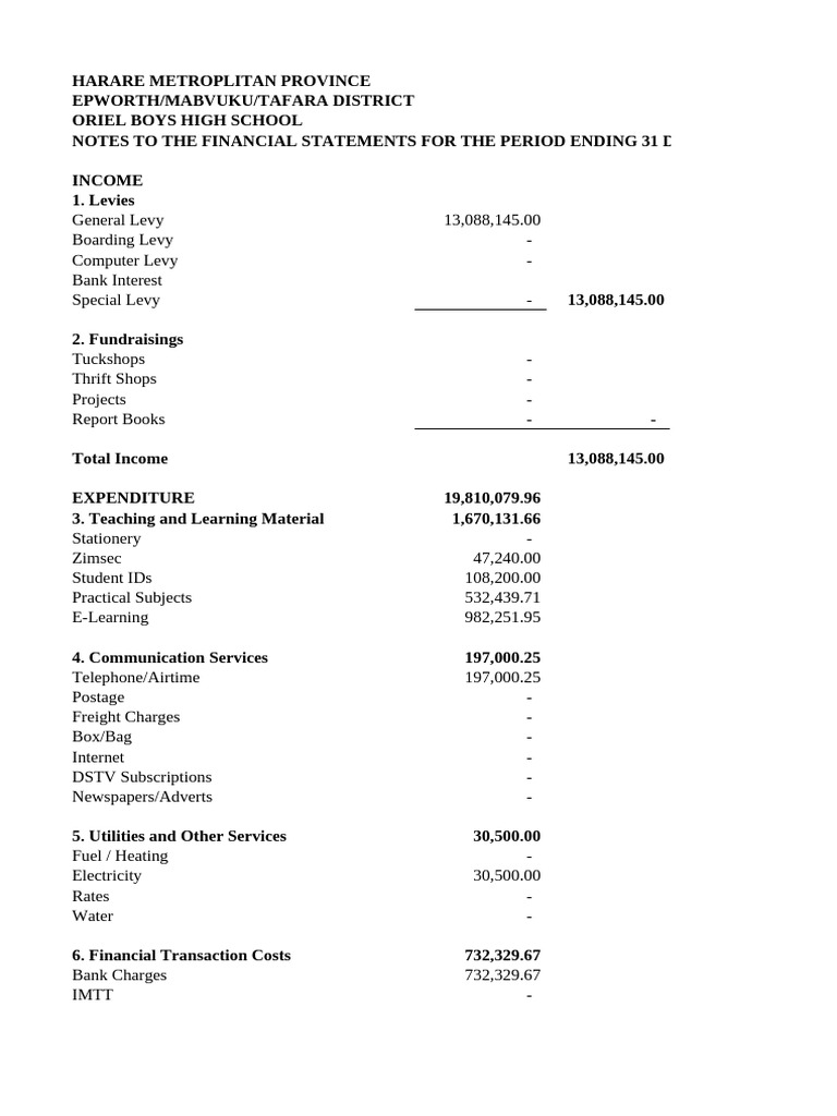Financial Statements Template Levy | PDF | Expense | Balance Sheet