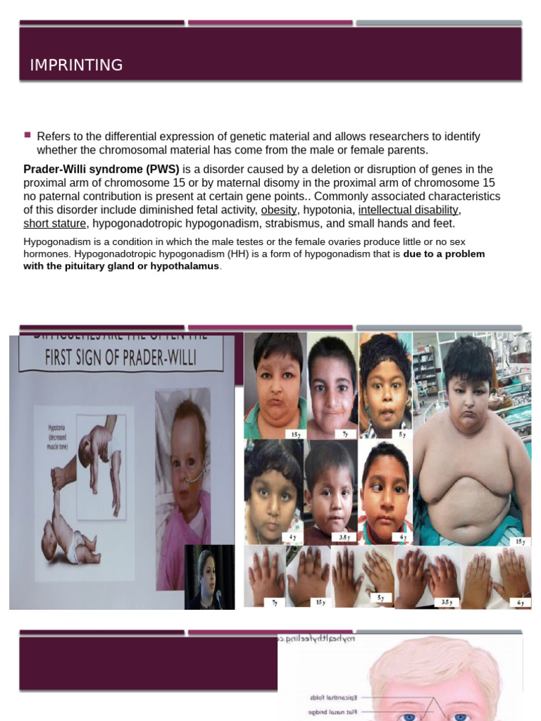 Understanding Genetic Disorders and Counseling | PDF | Genetic ...