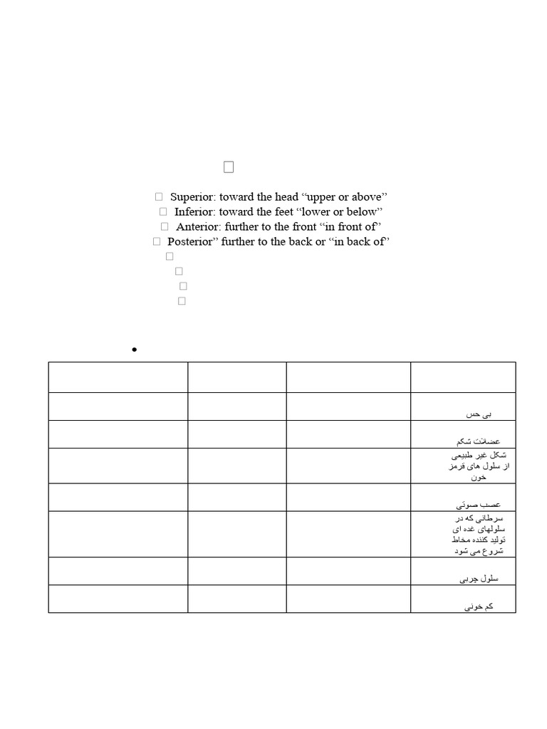 Medical Terminology Omid Sabury | PDF