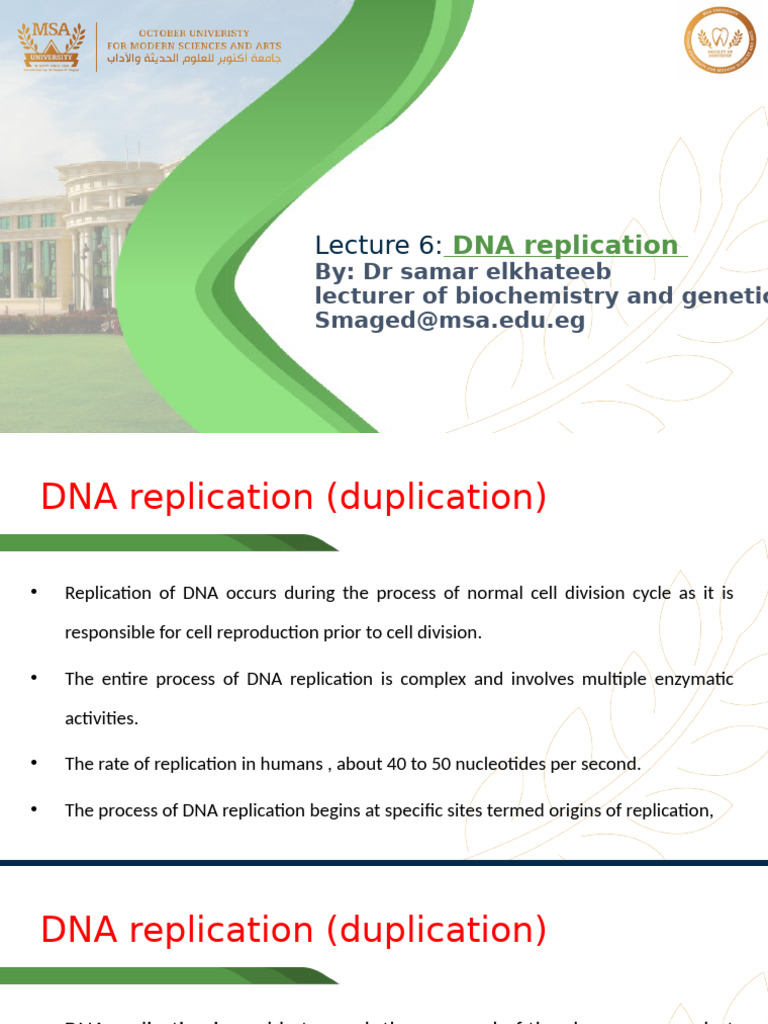 Lecture 6- DNA Replication | PDF