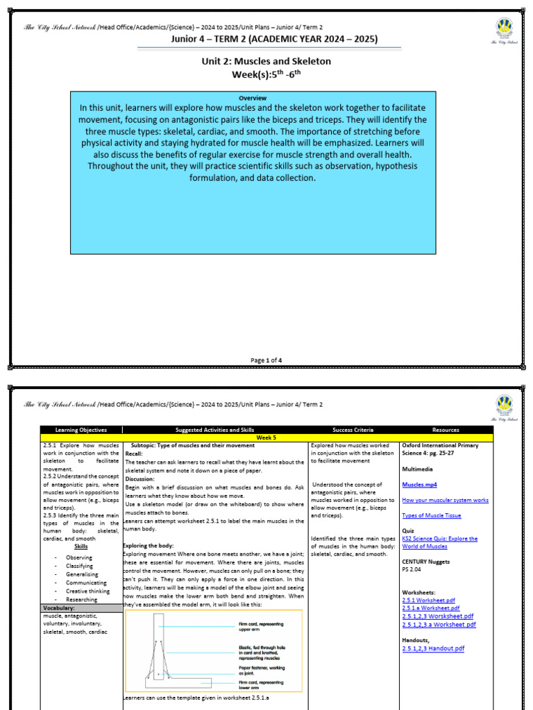Junior 4 Muscles and Skeleton Unit 2 | PDF | Muscle | Musculoskeletal ...