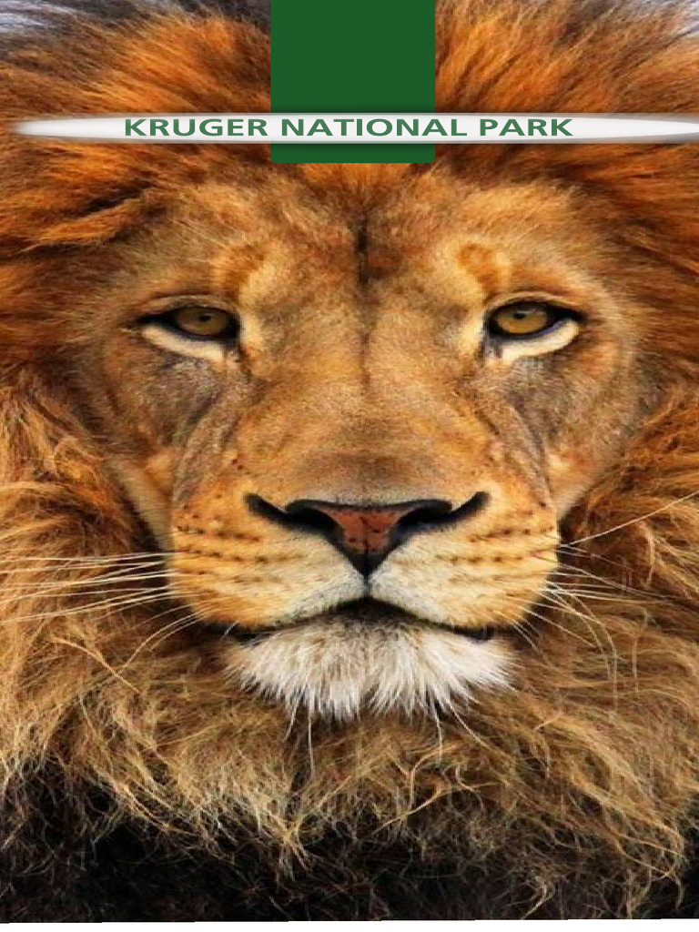 Kruger Pocket Guide | PDF