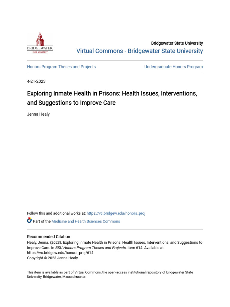 Exploring Inmate Health in Prisons - Health Issues Interventions | PDF ...