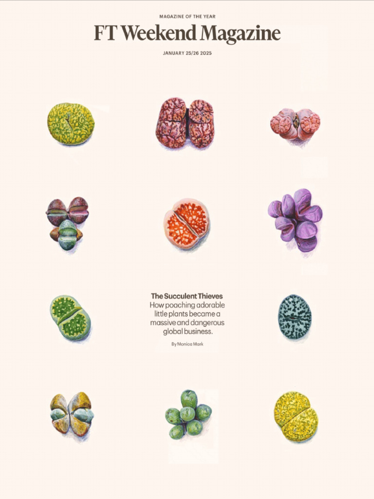 FT Weekend Magazine - January 25, 26 - 2025 | PDF