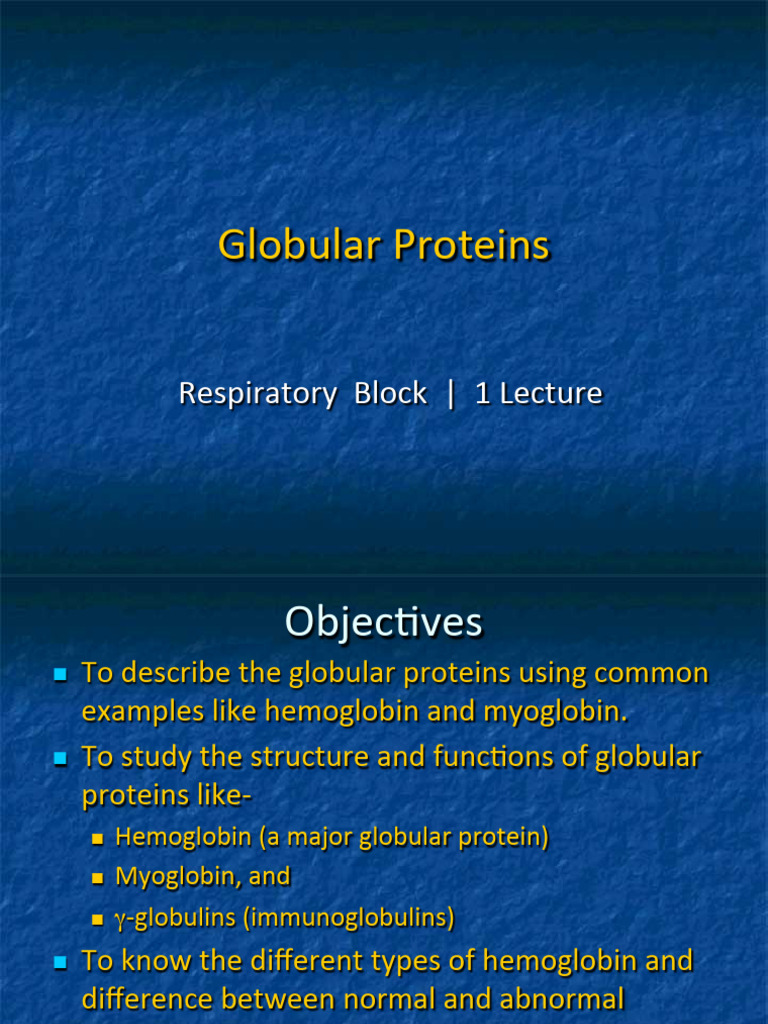 Understanding Globular Proteins | PDF | Hemoglobin | Hematology