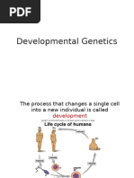 Understanding Polymelia: Causes and Cases | PDF | Medical Ultrasound ...