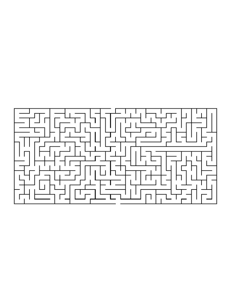 40 by 20 Orthogonal Maze | PDF