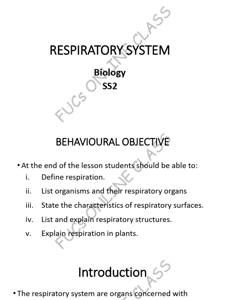 Understanding the Respiratory System | PDF | Respiratory System ...