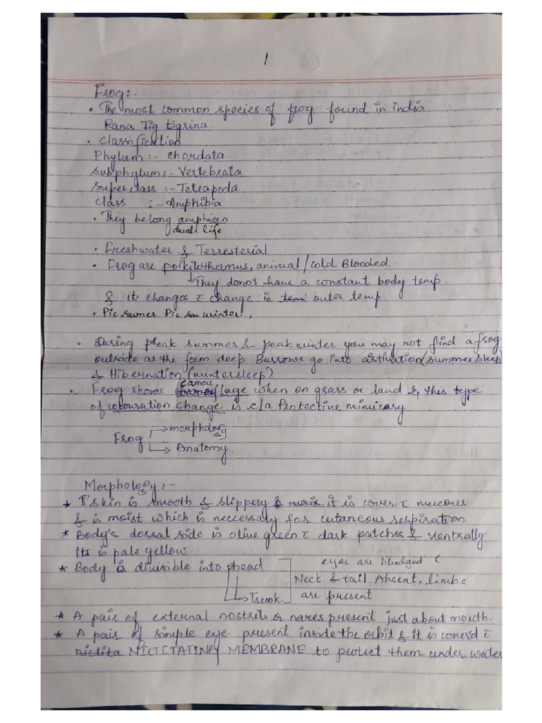 Class 1 [ FROG ] | PDF