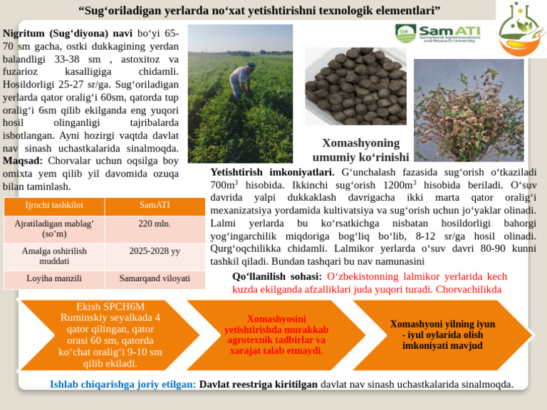 Nigritum (Sug Diyona) | PDF