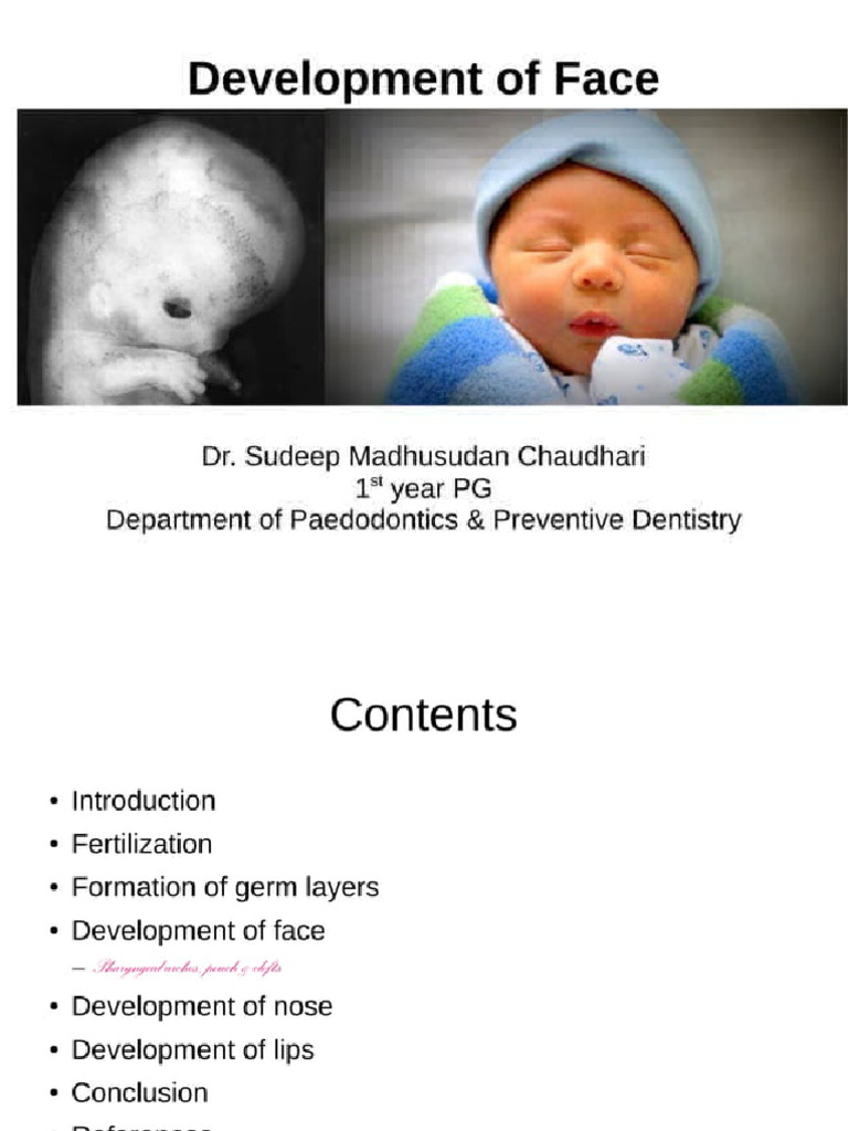 Development of Face | PDF
