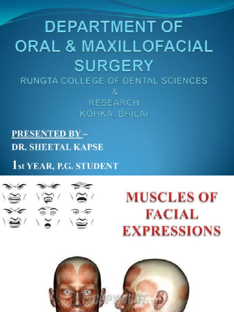 Muscle of Facial Expression | PDF
