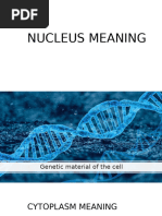 Released EOC For CER | PDF | Dominance (Genetics) | Messenger Rna