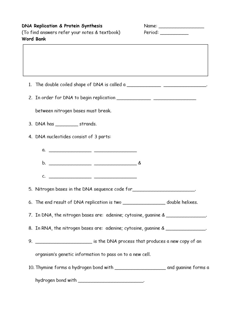 dna_replication____protein_synthesis_worksheet | PDF | Rna | Nucleotides
