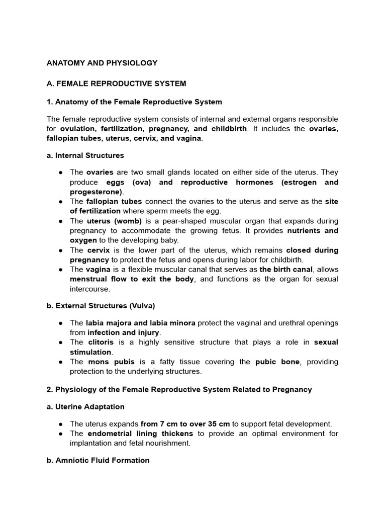 Female Reproductive System Overview | PDF