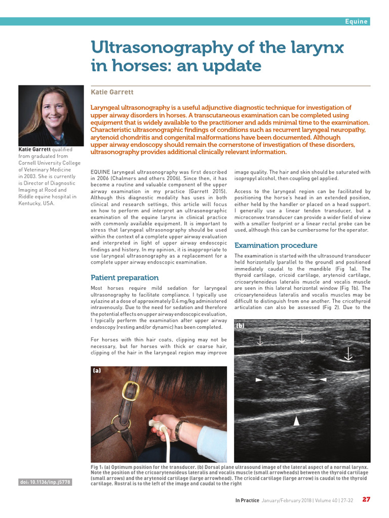Equine Laryngeal Ultrasonography Guide | PDF | Larynx | Medical Ultrasound