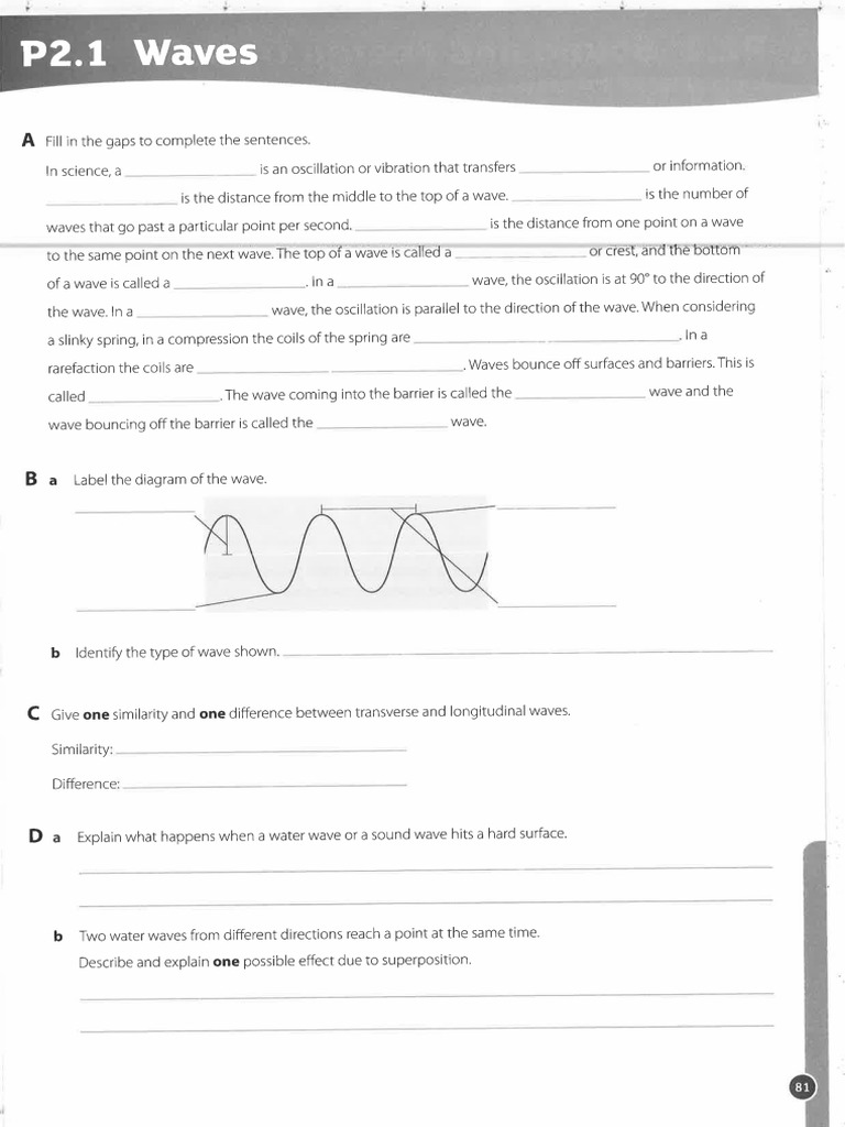Yr 8 Waves and Sound Wave | PDF