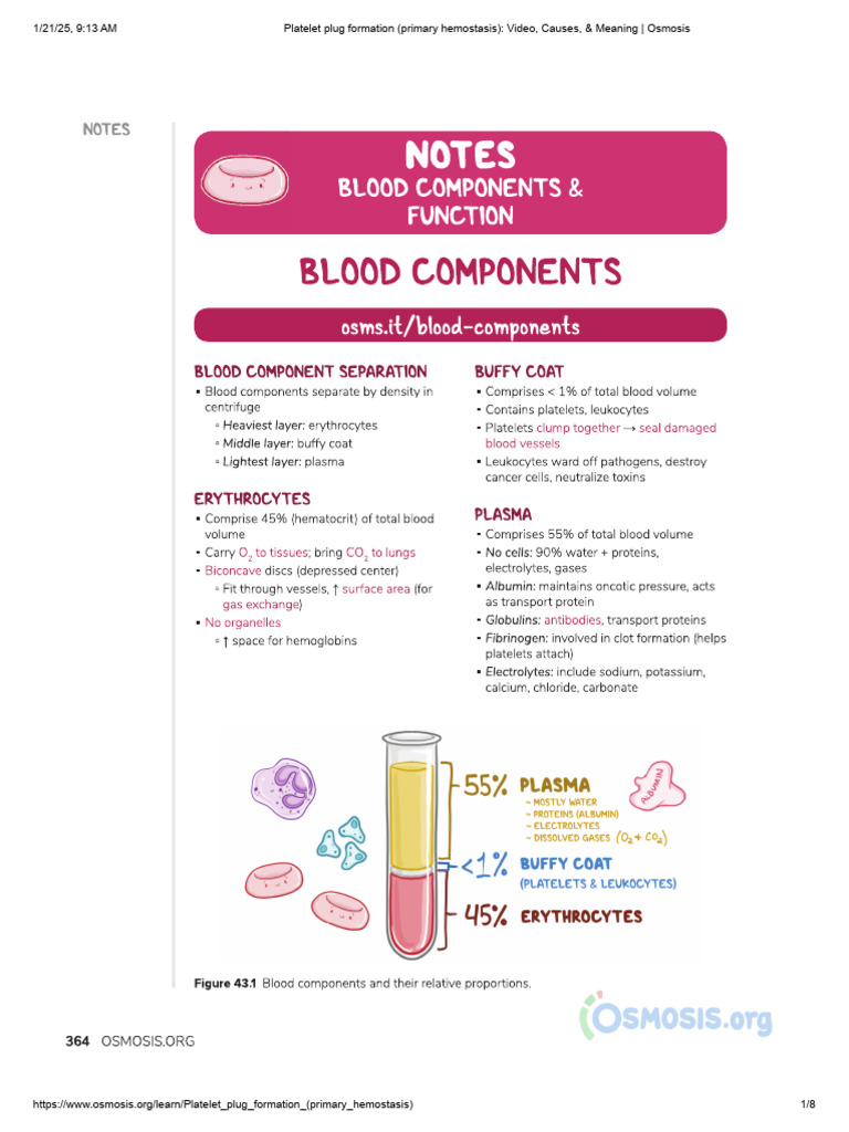 Platelet Plug Formation (Primary Hemostasis) - Video, Causes, & Meaning ...