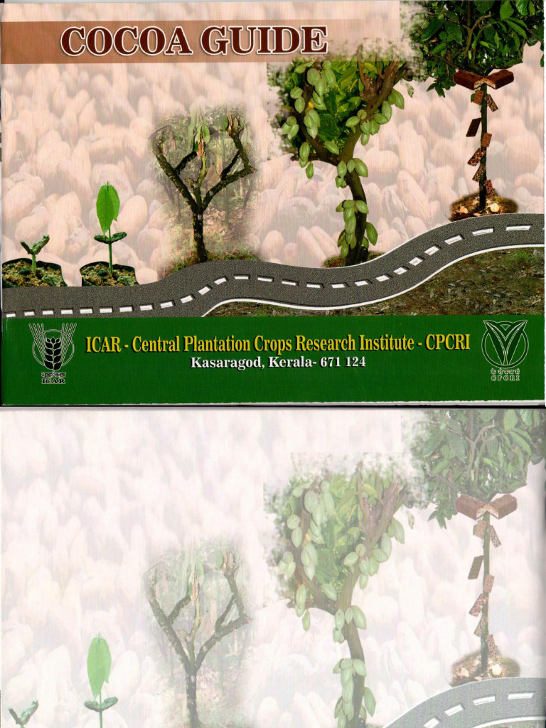 Single Plot Report PDFUrl | PDF | Pruning | Cocoa Bean