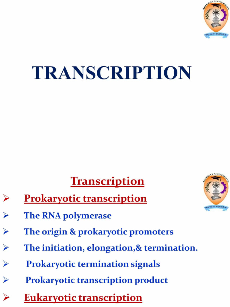 Transcription | PDF