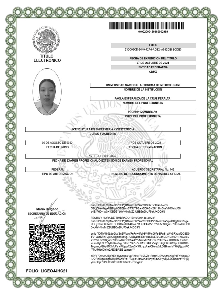 Titulo Electronico Unv. - Titulo Licenciatura | PDF