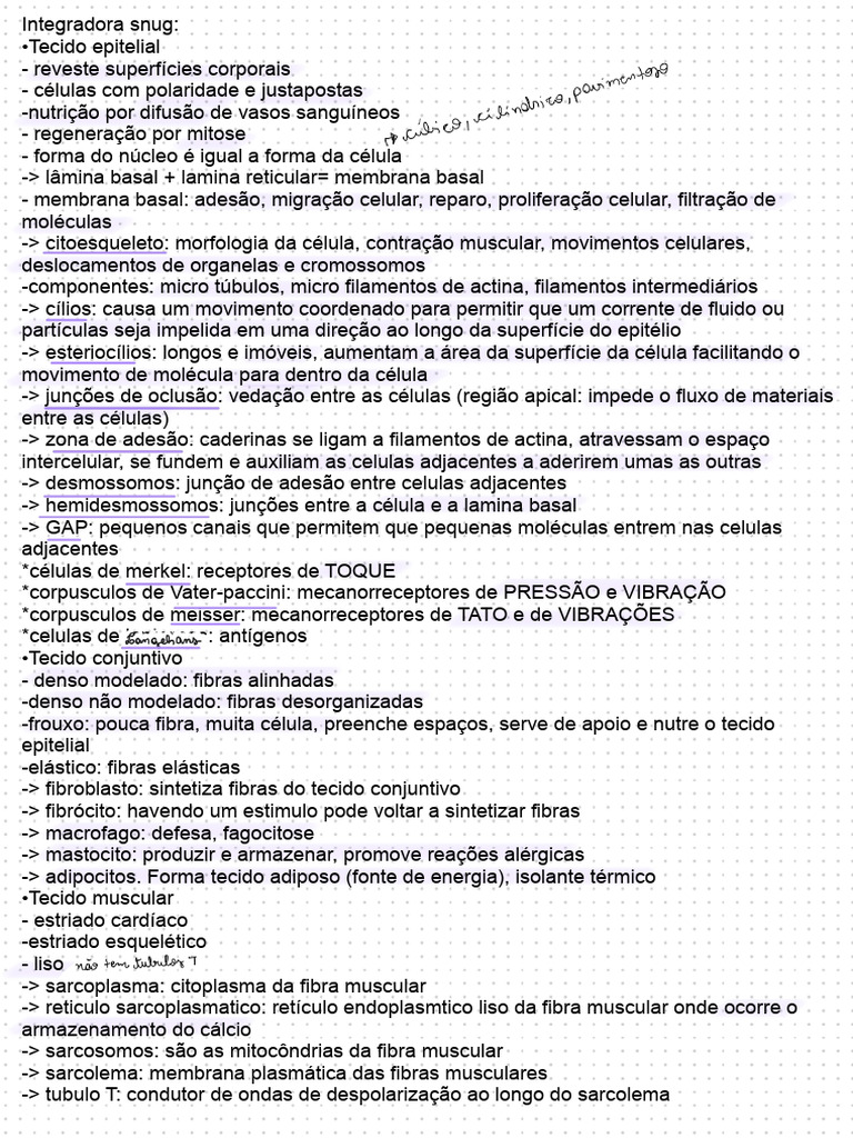 Revisão Integradora Snug | PDF | Pélvis | Célula (Biologia)