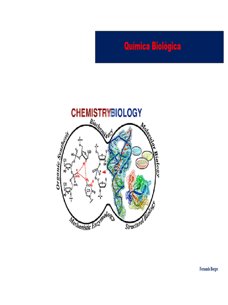 Slides 04 | PDF | Protein Structure | Proteins