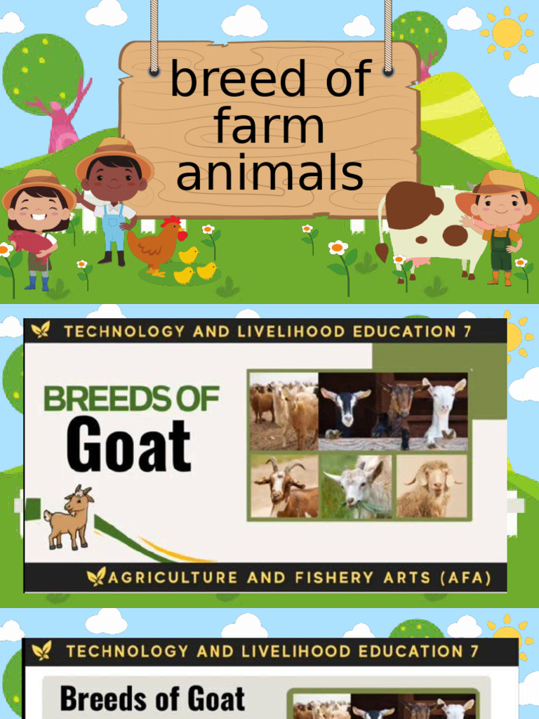 Breed of Farm Animals (WEEK 5) | PDF