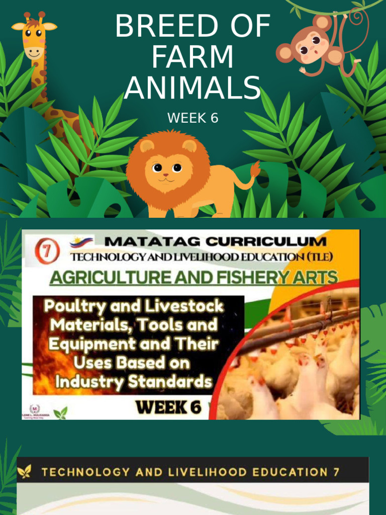 Breed of Farm Animals (WEEK 6) - Copy | PDF