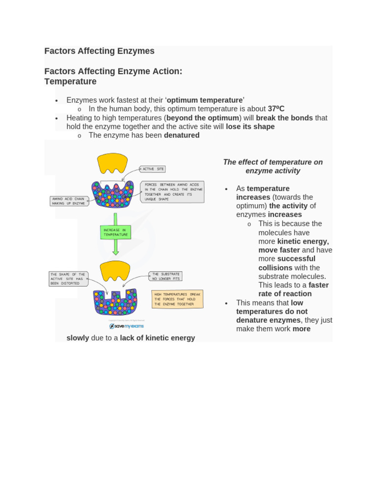Factors Affecting Enzyme Action | PDF | Enzyme | Active Site
