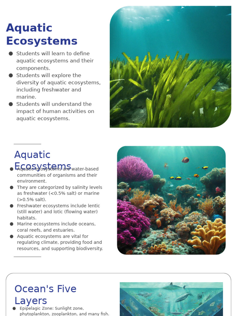 Understanding Aquatic Ecosystems | PDF | Wetland | Coral Reef