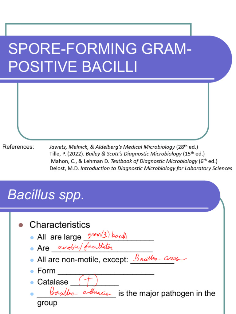 Spore-Former-Gpb-Bacillus | PDF | Anthrax | Bacillus