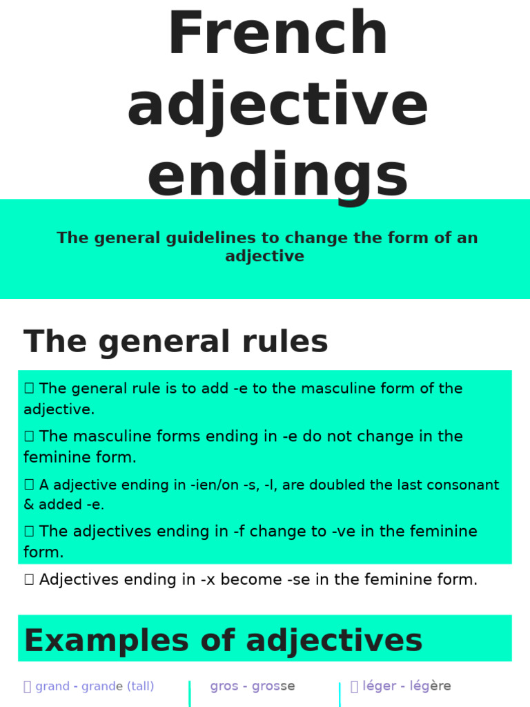 French Adjective Endings | PDF