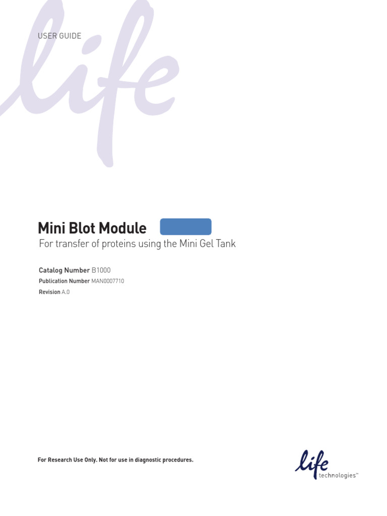 mini_blot_module_man | PDF | Blot (Biology) | Gel Electrophoresis